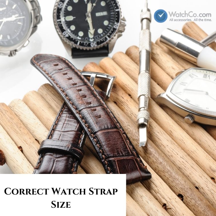 Choosing The Correct Watch Strap Size | Watchco.com — WatchCo