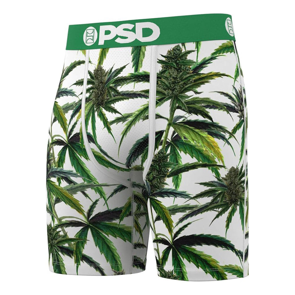 PSD Men's Multicolor Buds & Bloom Boxer Briefs Medium Underwear - 4251 ...